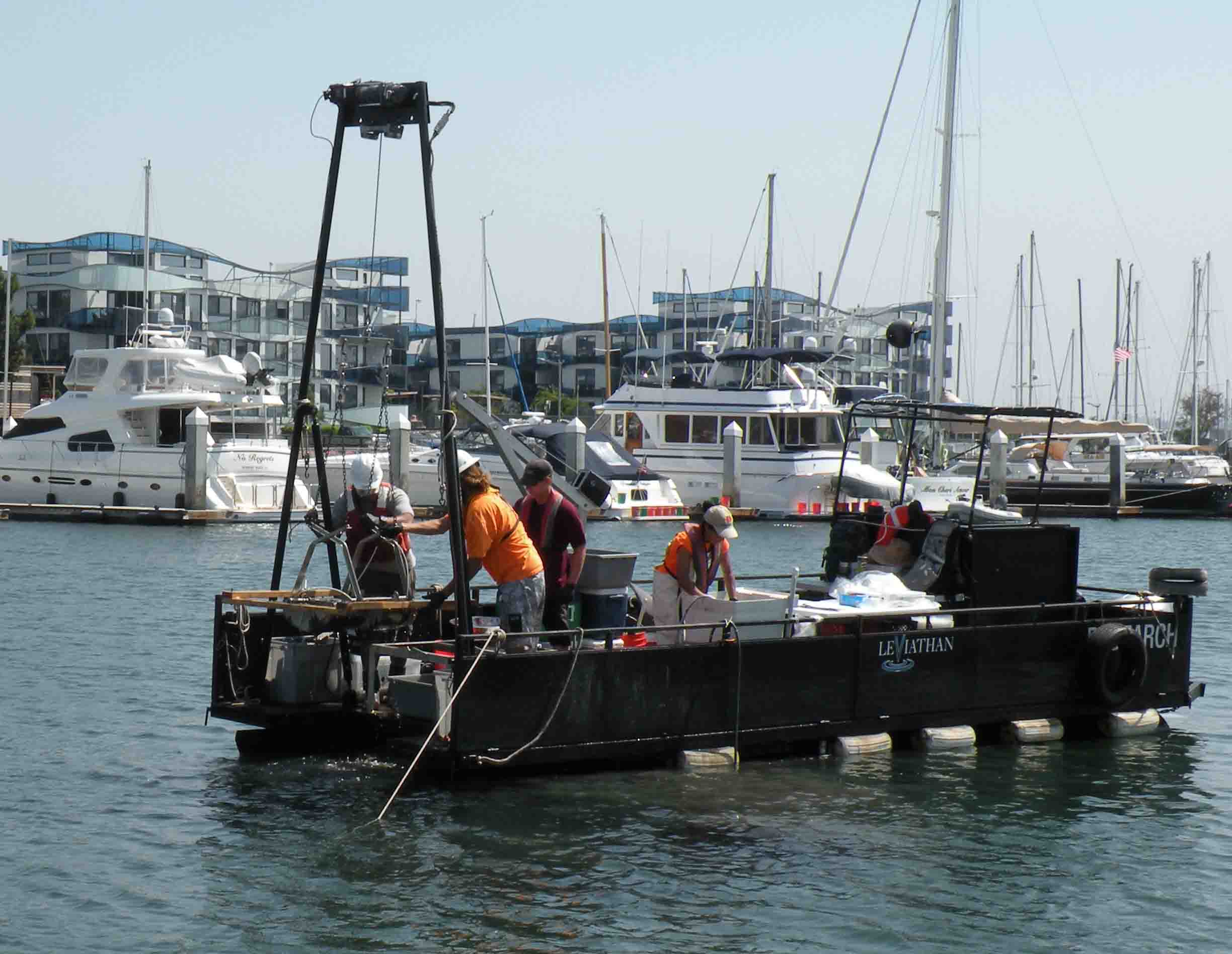 Marina del Rey stressor identification rules out possible causes of ...