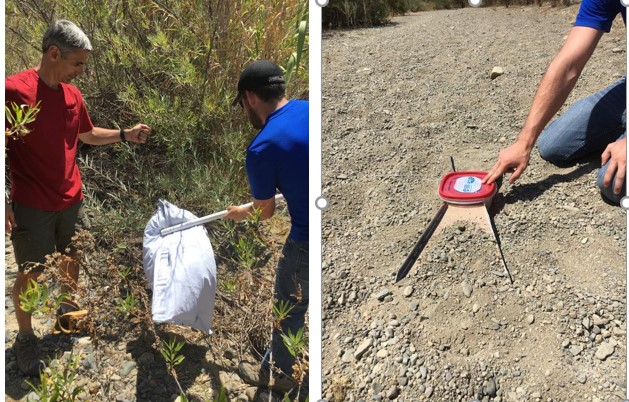 Year 1 field sampling wraps up for developing intermittent stream ...