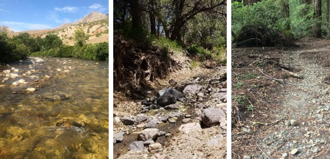 Tools being finalized to help determine whether streams subject to ...