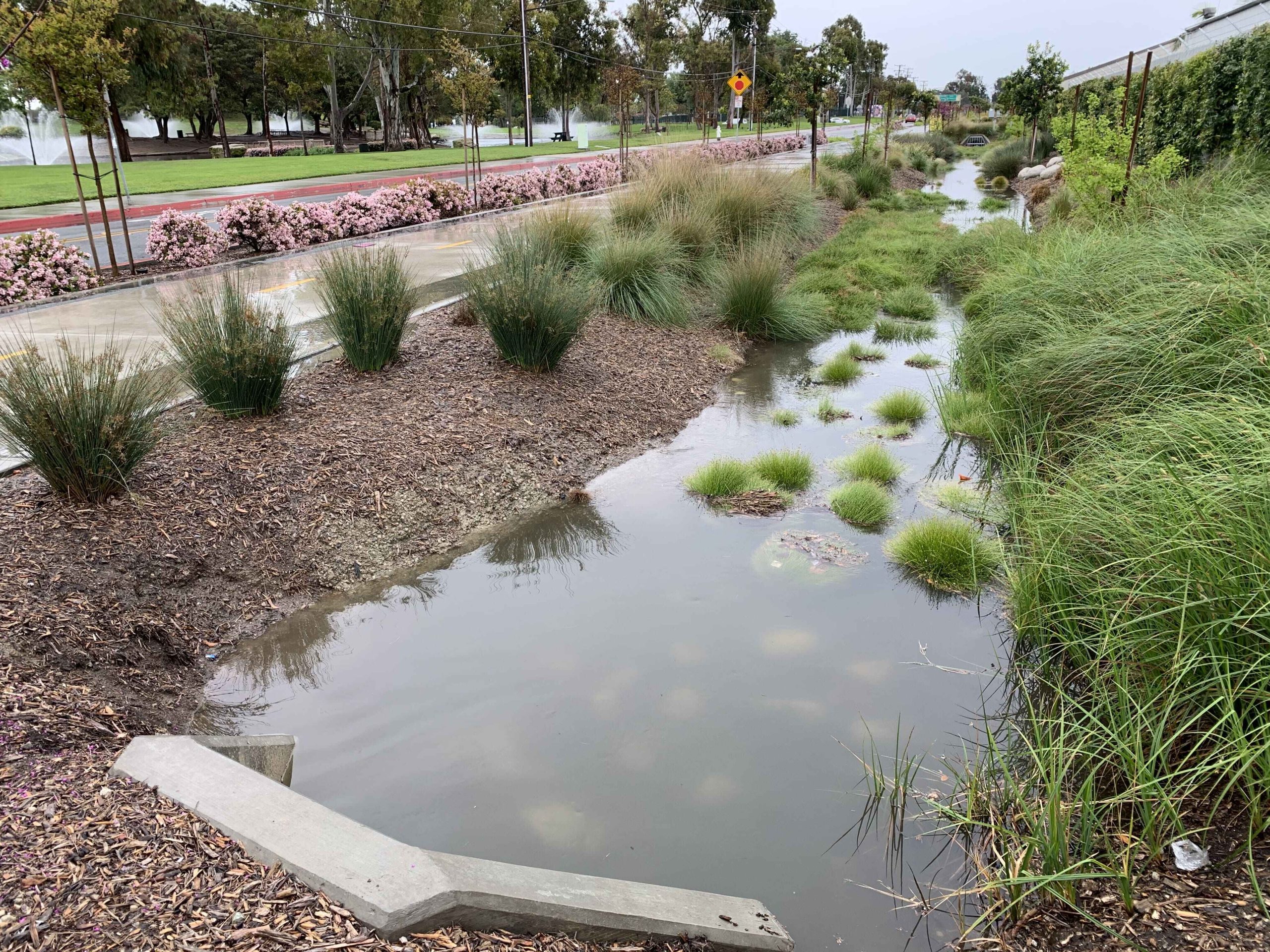 Index scoring tool for rating BMP performance released - Southern ...