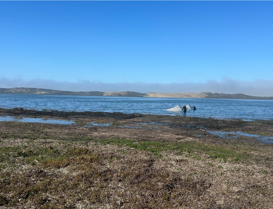 Monitoring program successfully demonstrates how to evaluate estuary ...