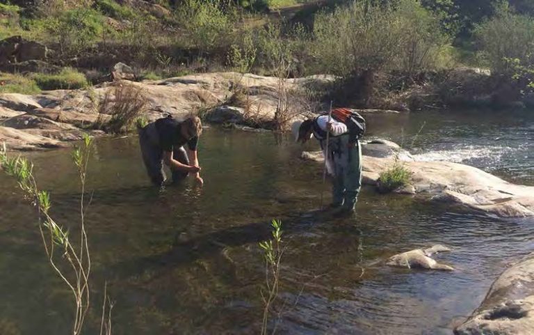 Stream food webs to be examined in study to better integrate stream ...