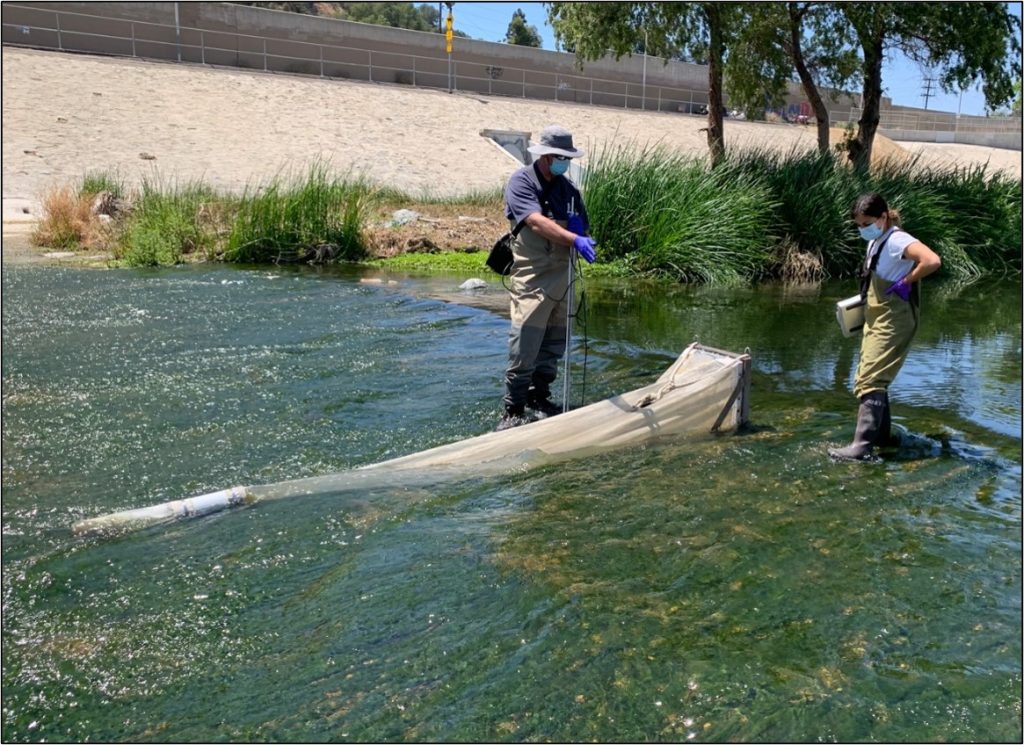 Effort Launched To Standardize Microplastics Sampling Methods Southern California Coastal