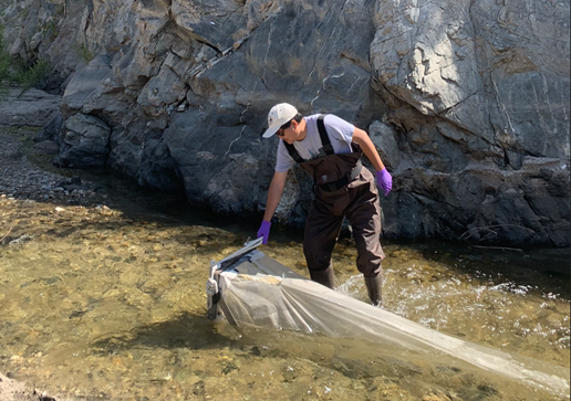 Effort launched to standardize microplastics sampling methods ...