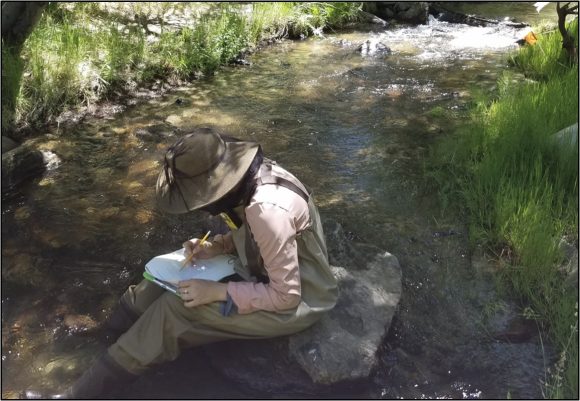 Effort launched to develop protective assessment tools for California ...